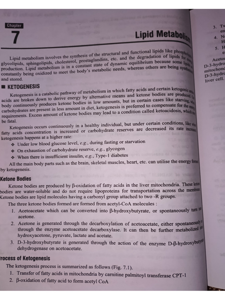 Chapter 7 Lipid Metabolism | PDF
