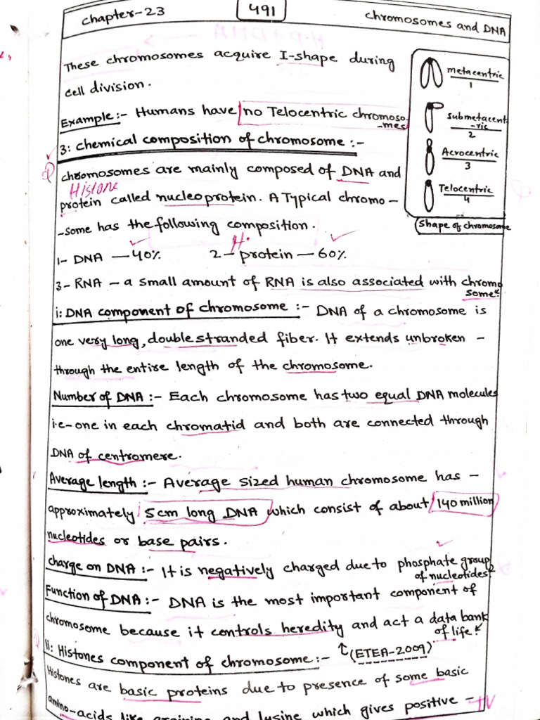 PDFReader - 20250501 - 1226 Chromosomes | PDF