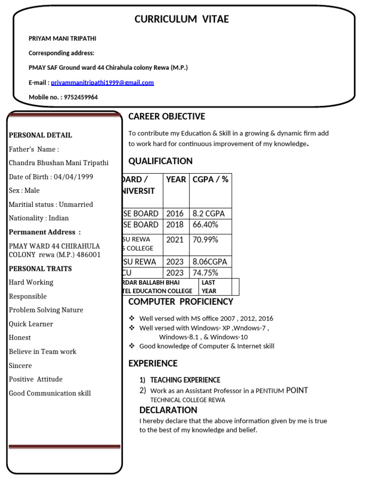 New Resume PMT | PDF