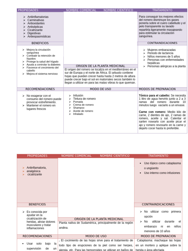 Herbario 123 | PDF | Romero