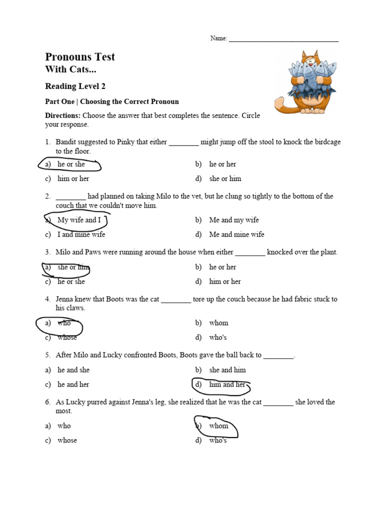 6th Grade Pronouns Practice Test | PDF