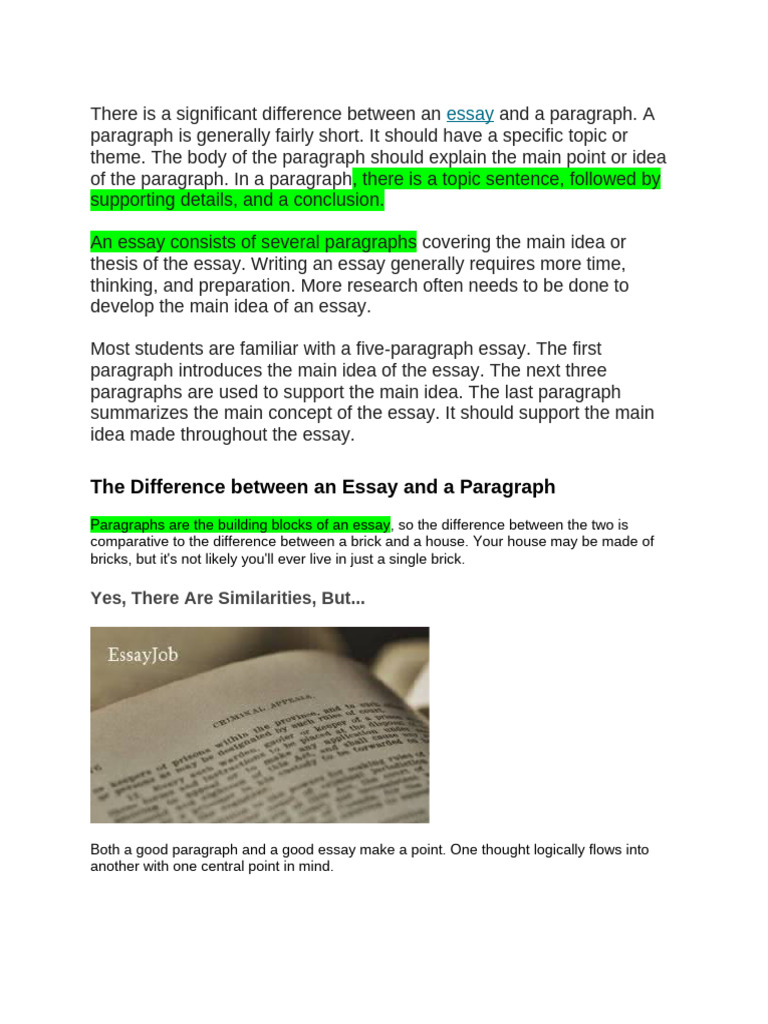 Essay vs. Paragraph: Key Differences | PDF | Essays | Paragraph