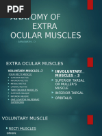 Extraocular Muscles & Ocular Motility Guide | PDF | Anatomical Terms Of ...