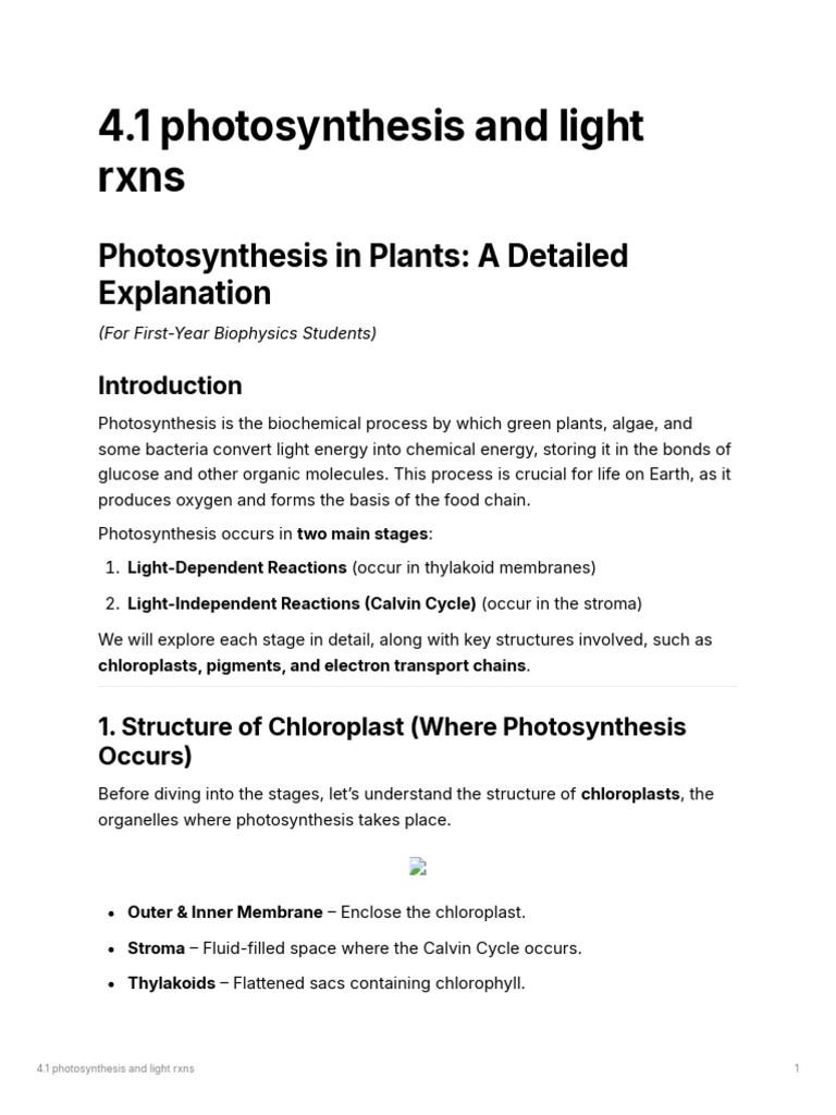 Photosynthesis and Light Rxns | PDF | Photosynthesis | Chloroplast