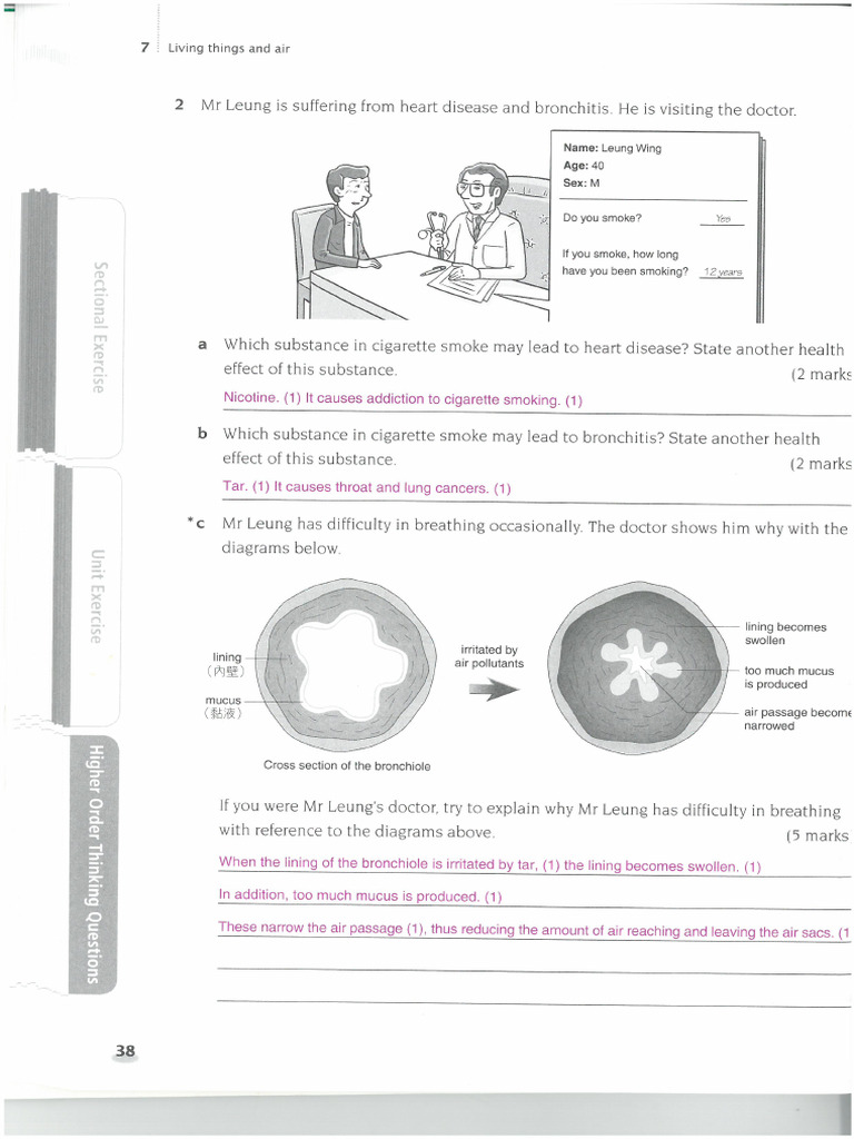 P 38 | PDF
