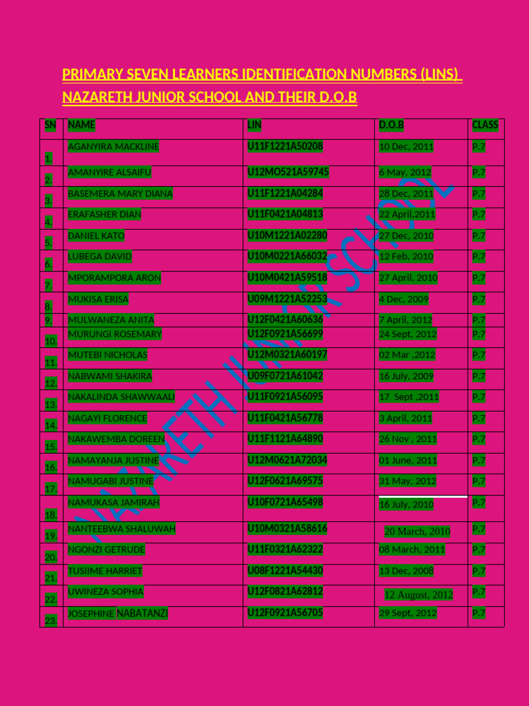 Primary Seven Learners Identification Numbers | PDF