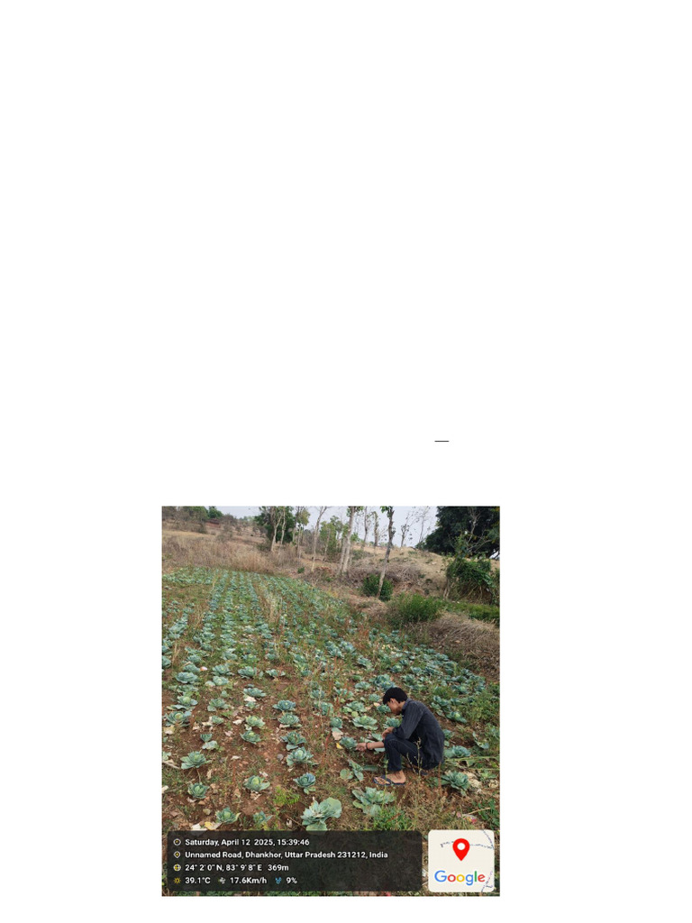 RAWE Programme Survey Report and Summary | PDF | Agriculture ...