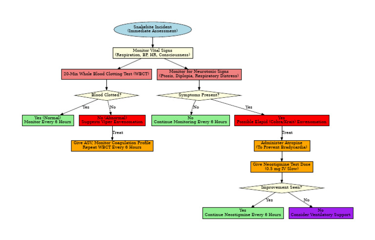 Snake Bite Management Flow Chart | PDF