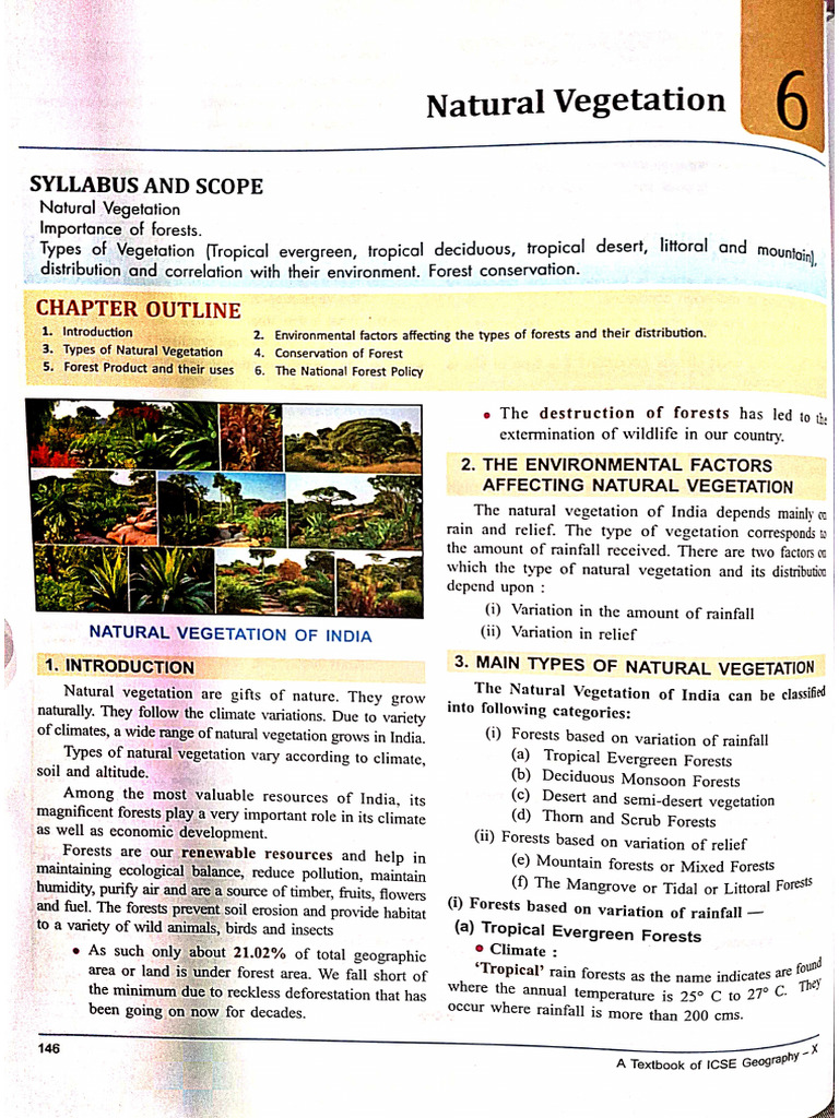 Stw-Natural Vegetation Geography | PDF
