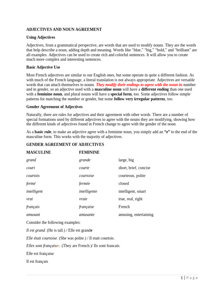 ADJECTIVES AND NOUN AGREEMENT | PDF | Grammatical Gender | Grammatical ...