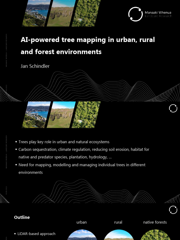 AI Tree Mapping in Urban and Rural Areas | PDF | Lidar | Image Segmentation