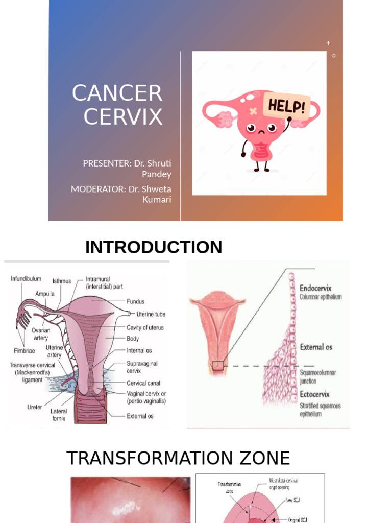 Cervical Cancer Overview and Guidelines | PDF | Cervical Cancer ...