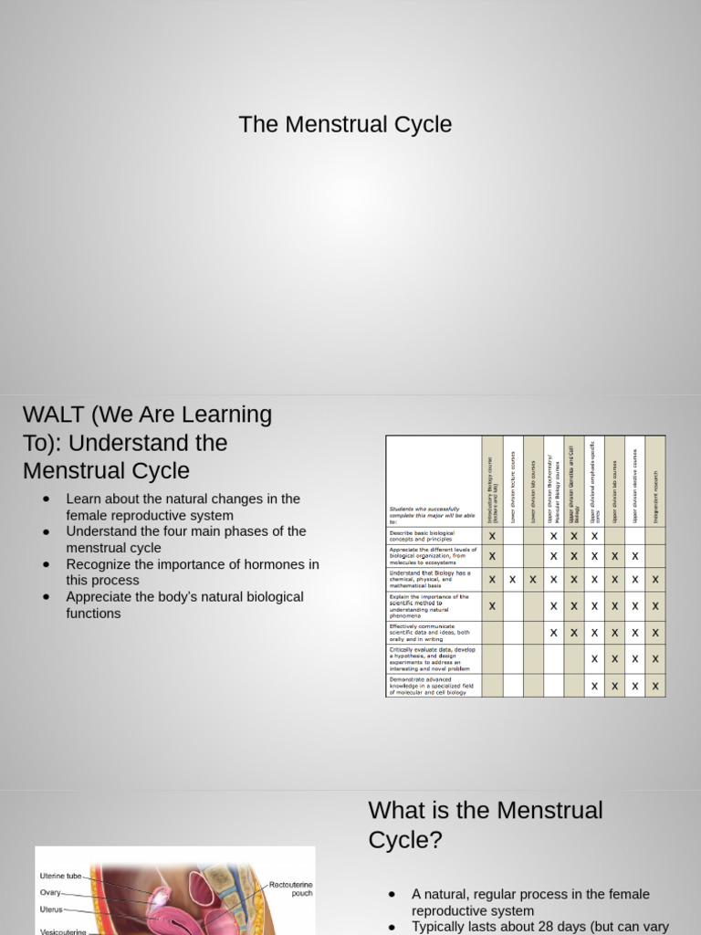 Menstraul Cycle | PDF | Menstrual Cycle | Animal Female Reproductive System