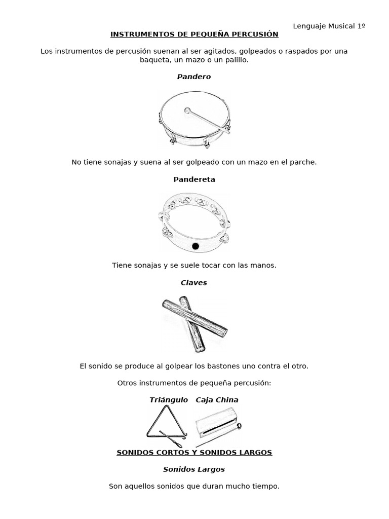 Instrumentos de Pequeña Percusión | PDF