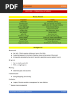 5Ps Formulation | PDF | Substance Abuse | Mental Disorder
