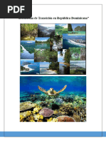 Ecosistemas Principales de República Dominicana - Tipos ...