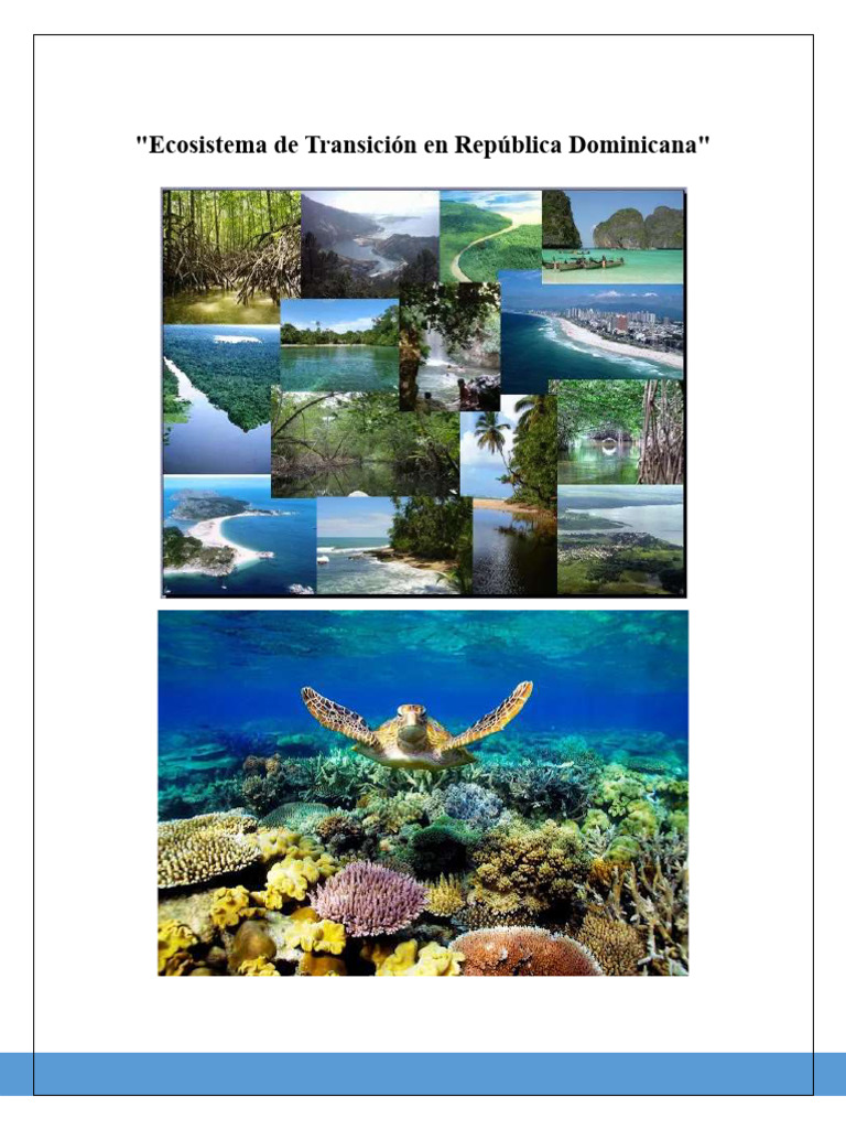 Ecosistemas de Transición en RD | PDF | Ecosistema | Ecología