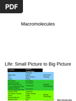 Building Macromolecules Activity - Student Handout - Updated 2020 | PDF ...