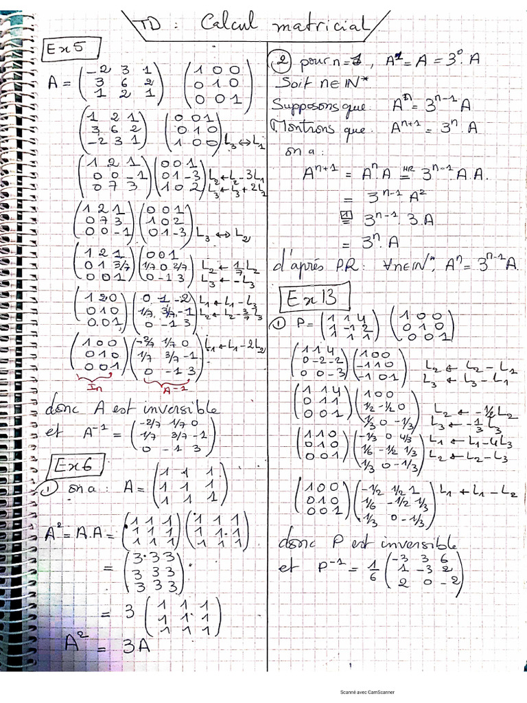 TD Matrices G1 | PDF