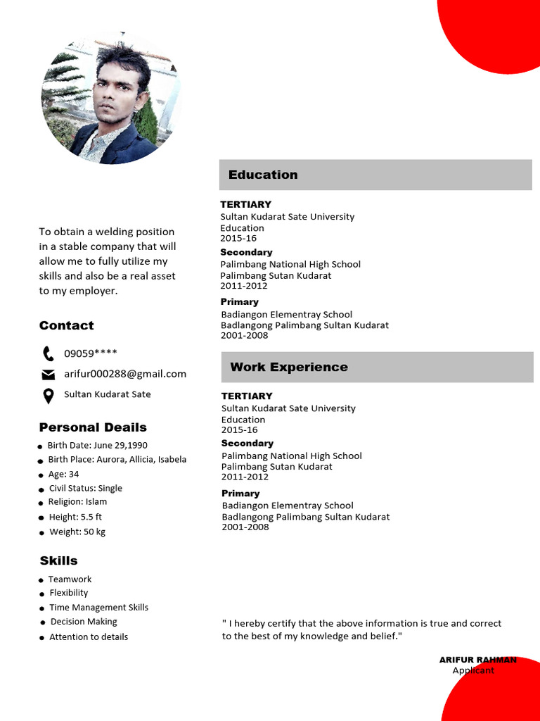 CV Design 4 | PDF