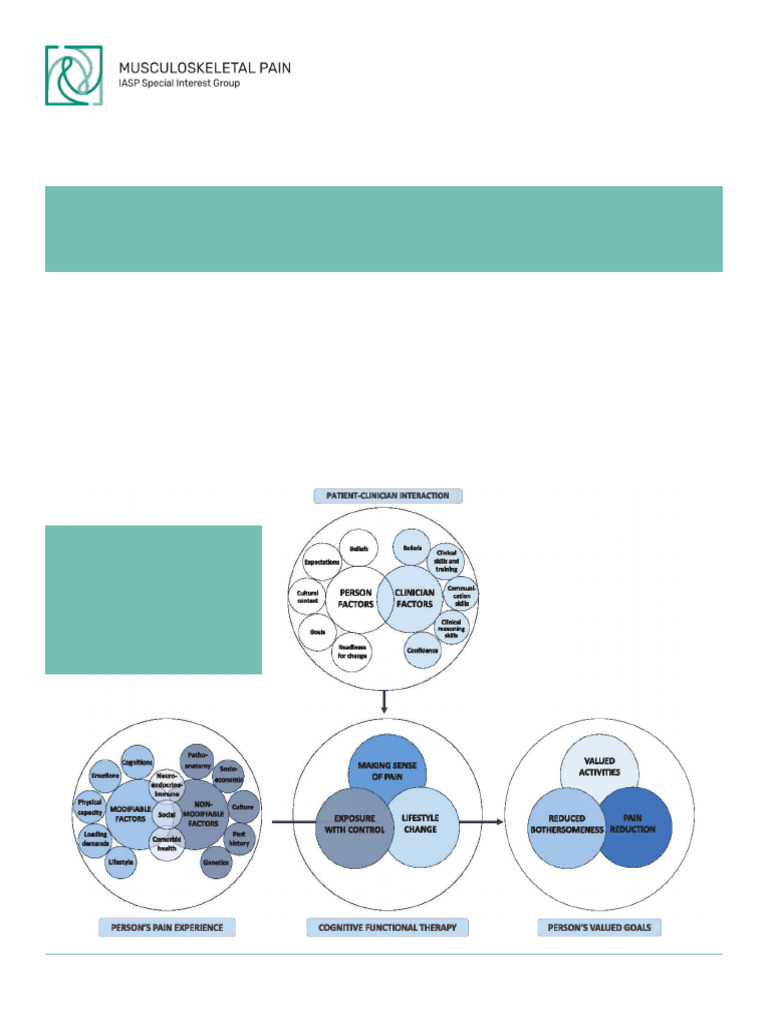 Cognitive Functional Therapy MSK Fact Sheet - R1 | PDF | Pain | Low ...