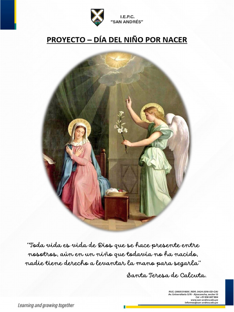Proyecto Día Del Niño Por Nacer | PDF