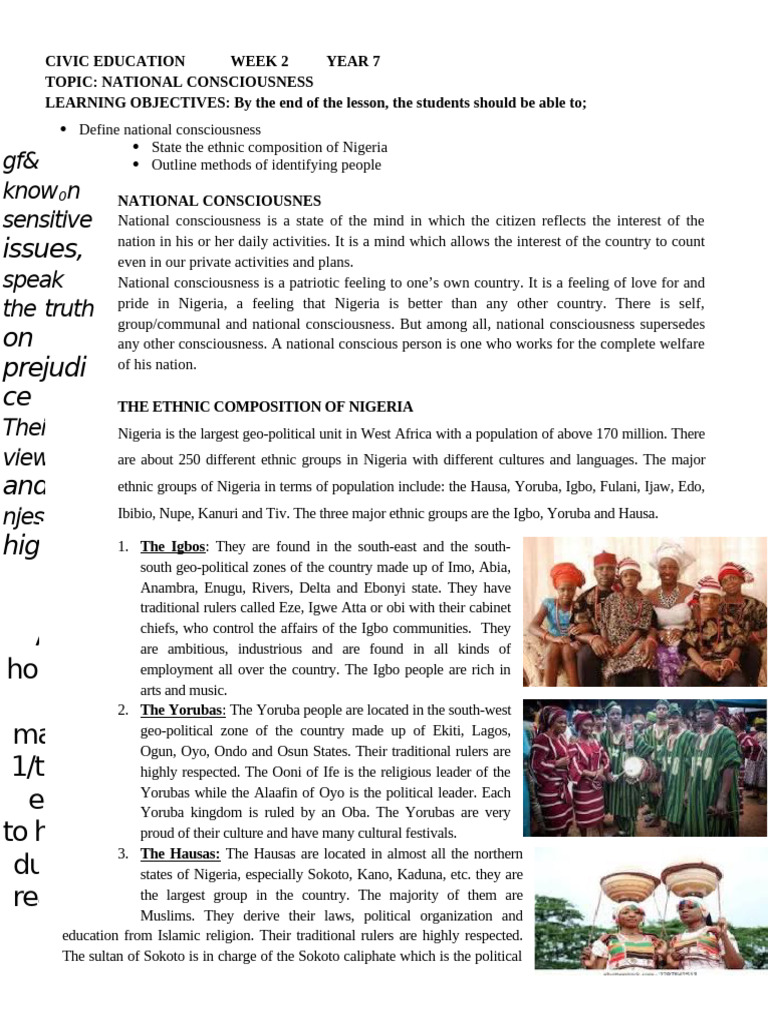 Understanding Nigeria's Ethnic Composition | PDF | Nigeria | Ethnicity