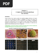 Dérive Génétique - Modèle Diploïde | PDF