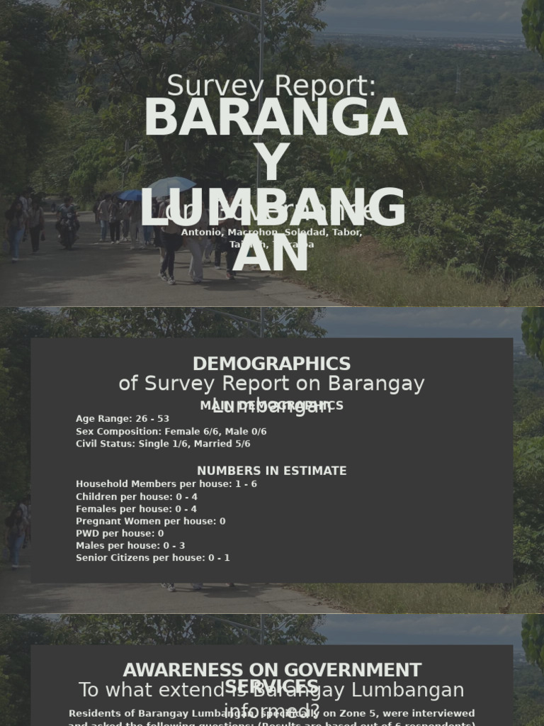 Barangay Lumbangan Survey Report | PDF | Disability | Social Policy