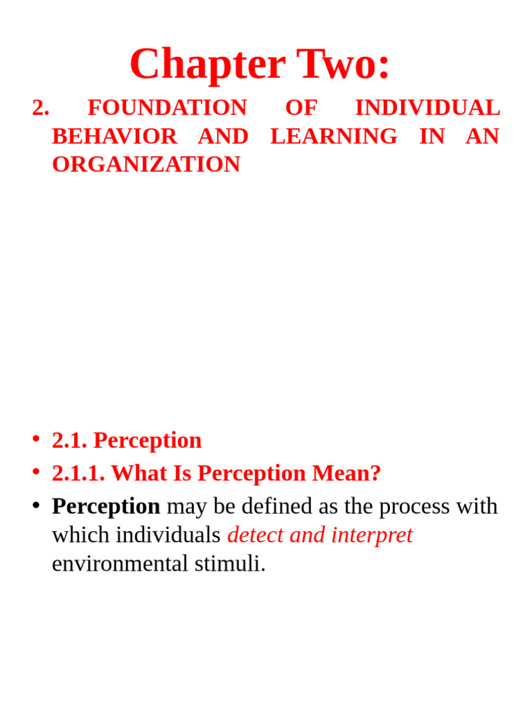 For Class Chapter Two | PDF | Attitude (Psychology) | Perception