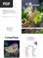 Classroom Butterfly Camouflage Activity | PDF | Camouflage | Mimicry