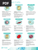 Specialised Cells Worksheet With Answers | PDF | Cell (Biology ...