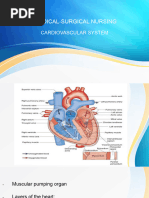 Cardiac Study Guide | PDF | Heart Failure | Cardiac Arrhythmia