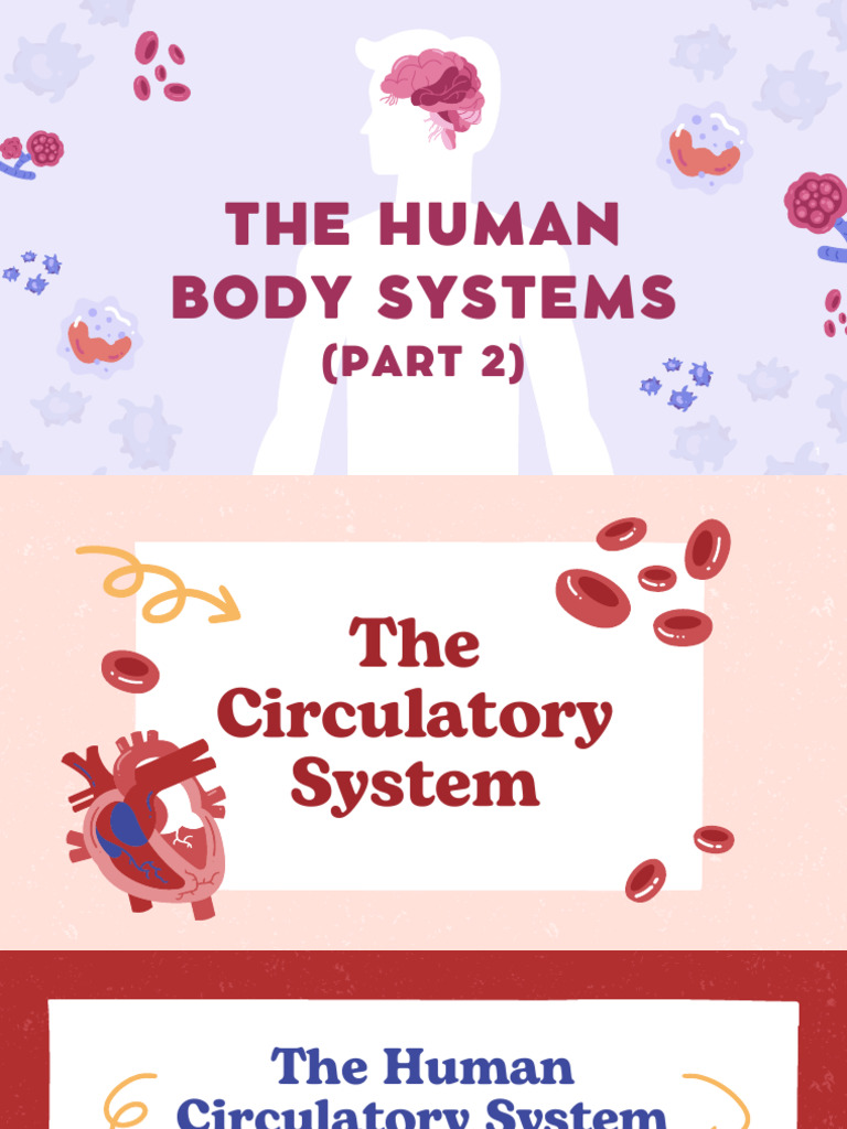 6th - Lesson 9 - Body Systems - Part 2 | PDF | Human Body | Heart