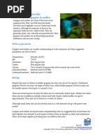 AqAdvisor - Intelligent Freshwater Tropical Fish Aquarium Stocking ...