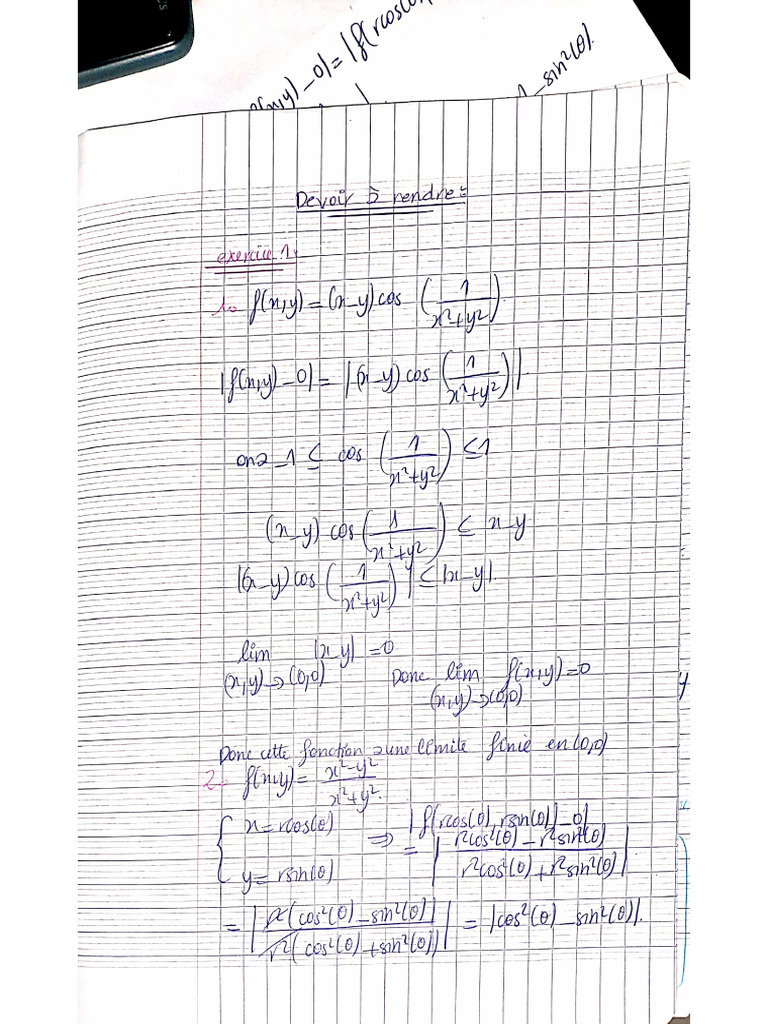 Devoir Analyse | PDF