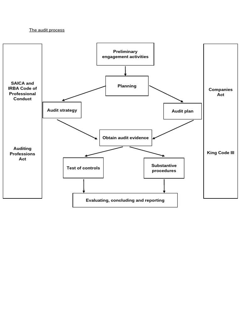 The Audit Process | PDF
