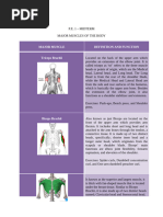 Knee Examination OSCE Checklist Geeky Medics | PDF | Knee | Joints