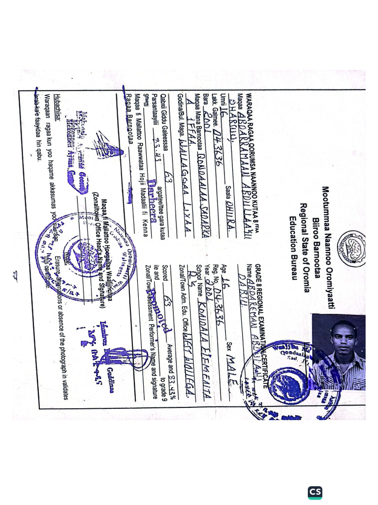 My Document | PDF