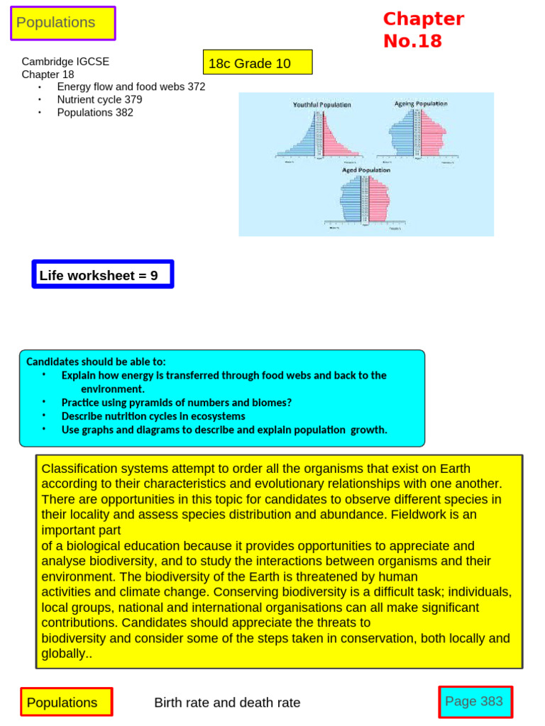 Energy Flow and Population Dynamics | PDF | Biodiversity | Food Web