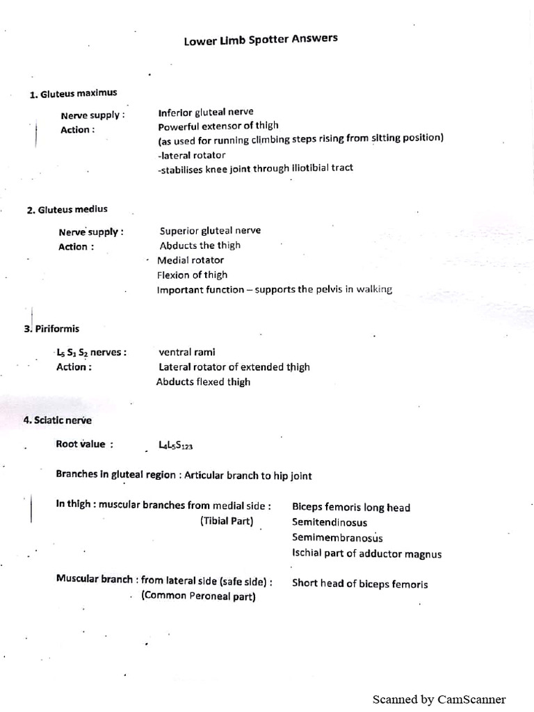 Lowerlimb Spotters | PDF