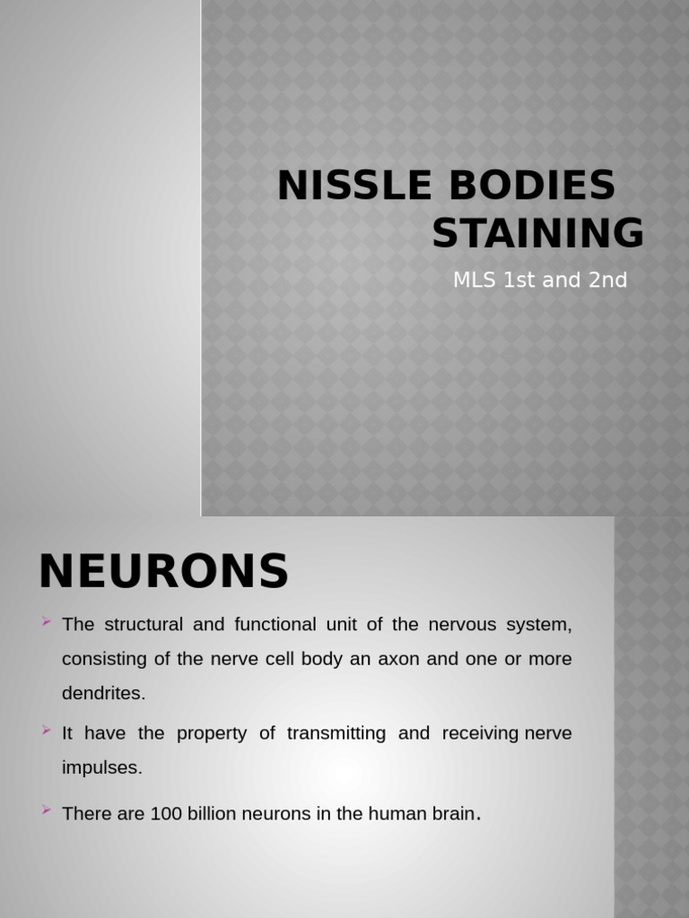 Nissle Bodies: Staining Techniques | PDF | Neuron | Nervous System