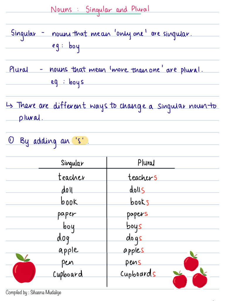Singular & Plural | PDF