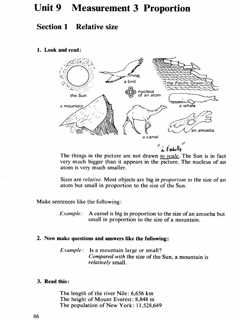 AST4 Unit Nine Measurement 3 Proportion | PDF