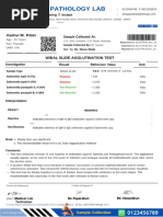 Positive Widal Test Report Format Example Sample Template Drlogy Lab ...