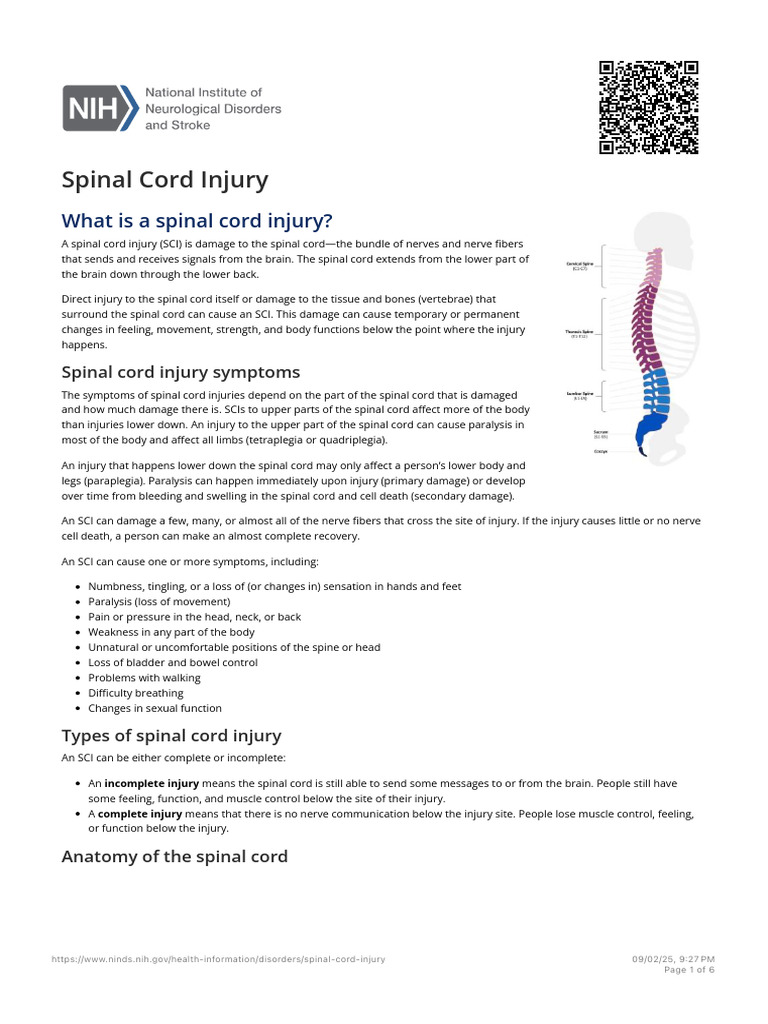 Spinal Cord Injury - National Institute of Neurological Disorders and ...