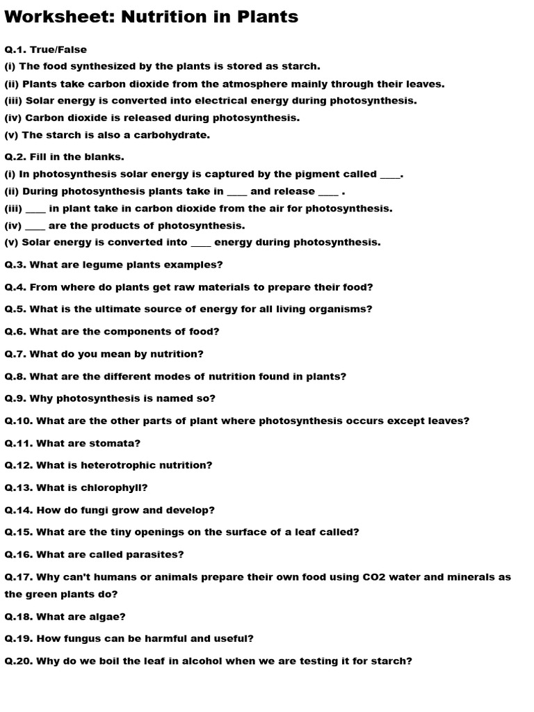 Nutrition in Plants Worksheet for Class 7 | PDF