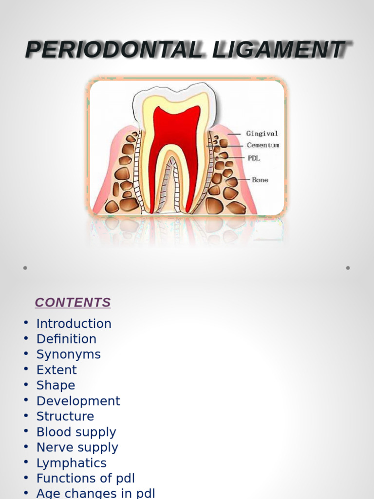 Periodontal Ligament: Structure and Function | PDF | Human Tooth | Collagen