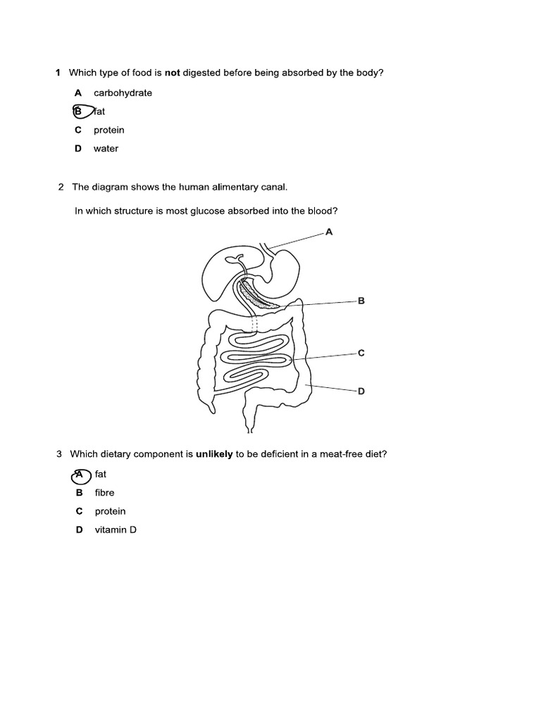 Human Nutrition MCQ Challenge Worksheet | PDF