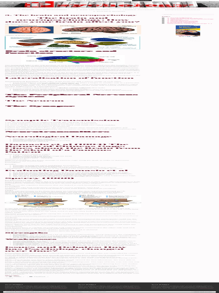 3. the Brain and Neuropsychology – GCSE Psychology 9-1 | PDF | Synapse ...